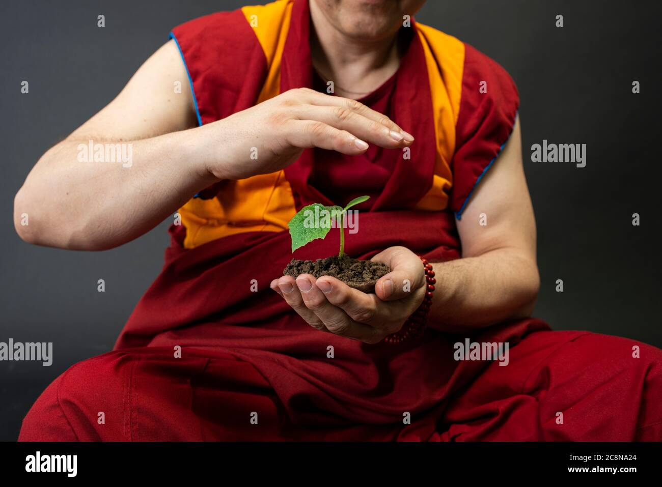 The monk holds the plant in his hand. Ecology concept and care for ...