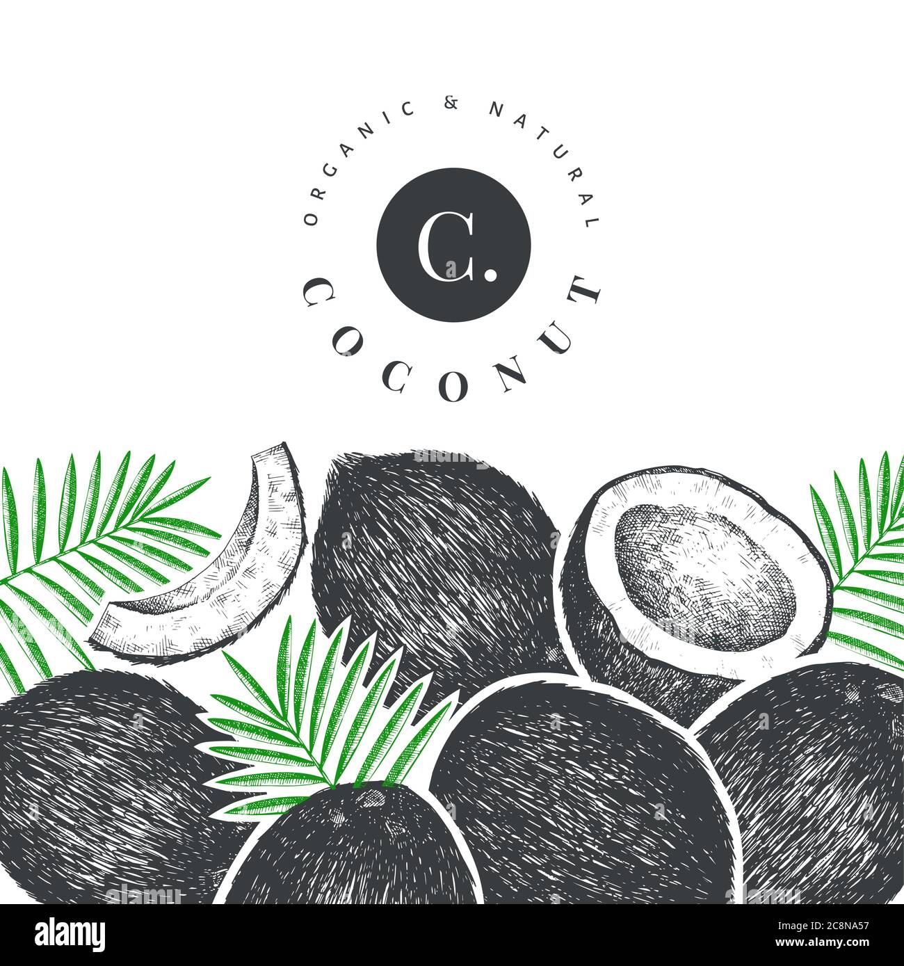 Coconut Tree Leaves Template