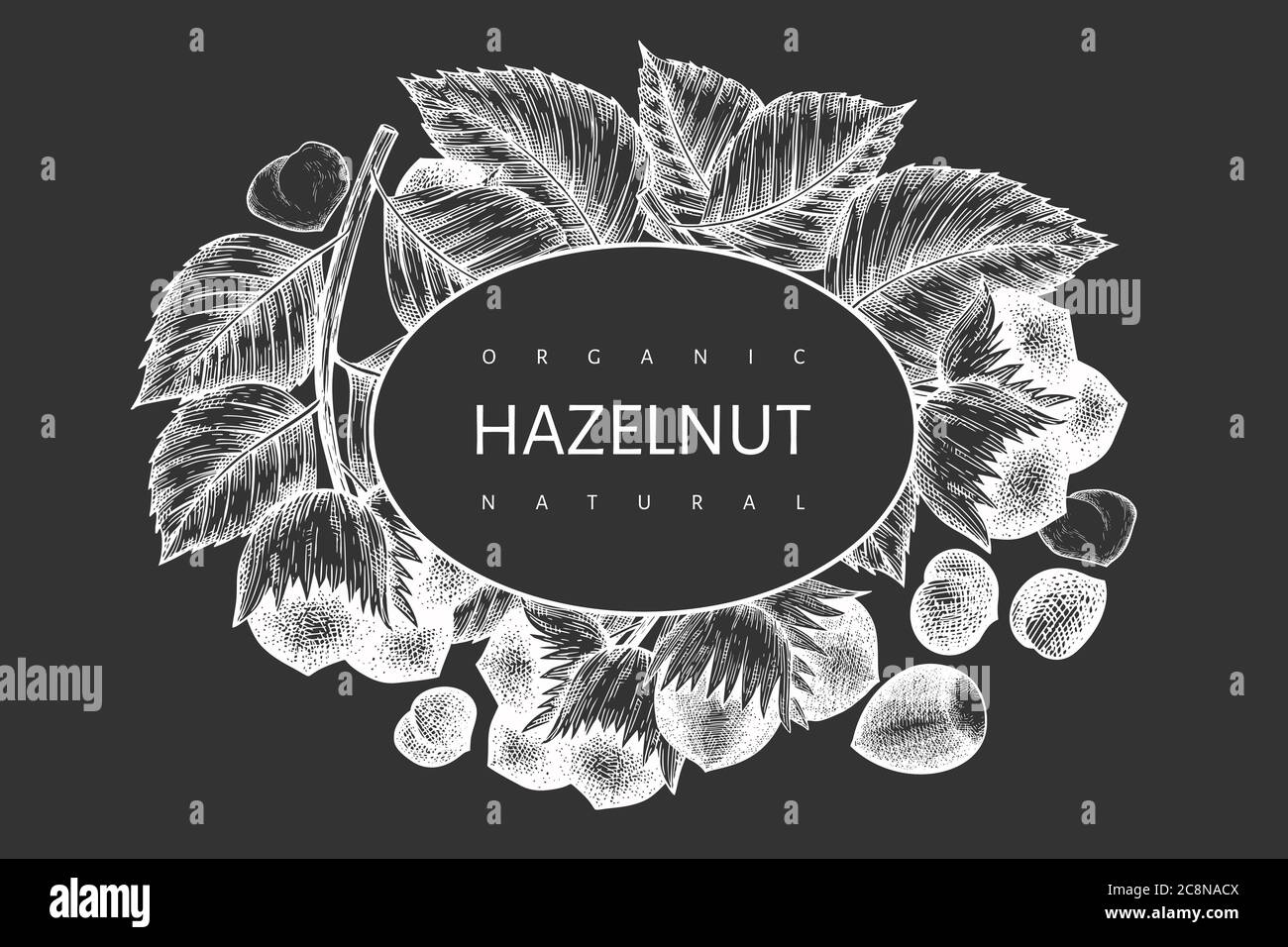 Hand drawn sketch hazelnut design template. Organic food vector ...