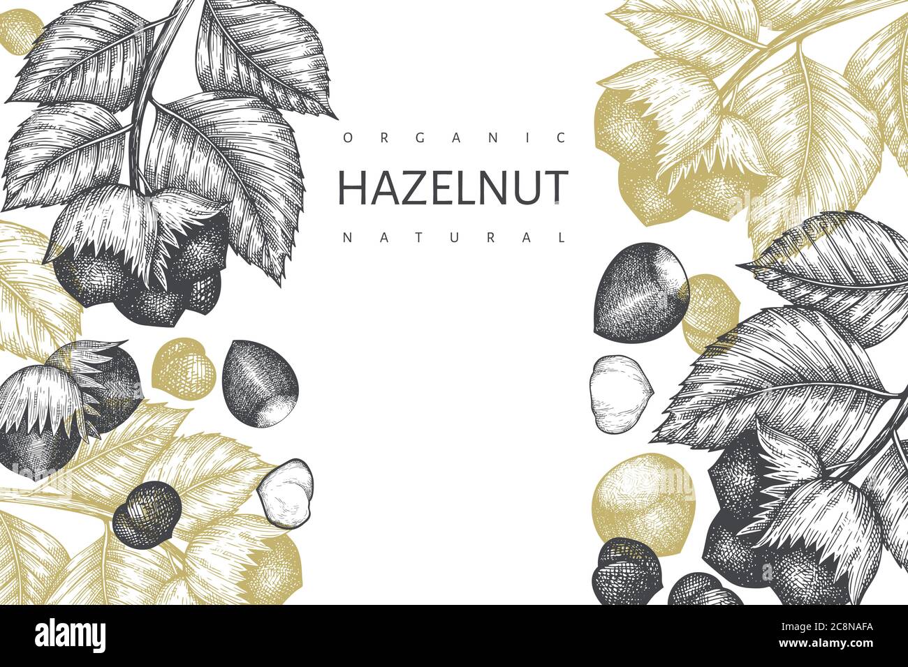 Hand drawn sketch hazelnut design template. Organic food vector ...