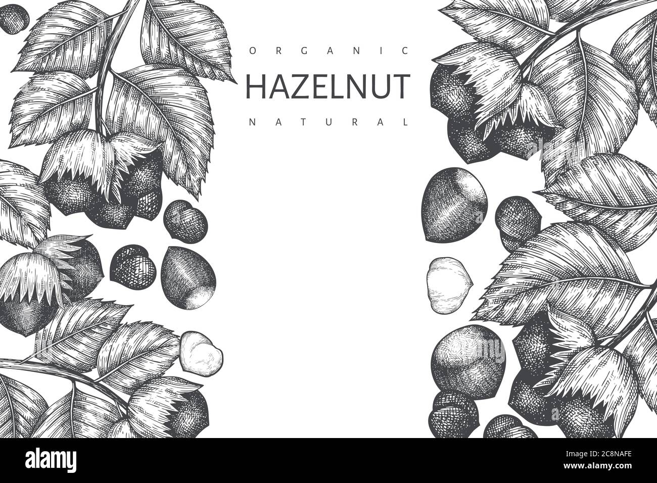 Hand drawn sketch hazelnut design template. Organic food vector ...