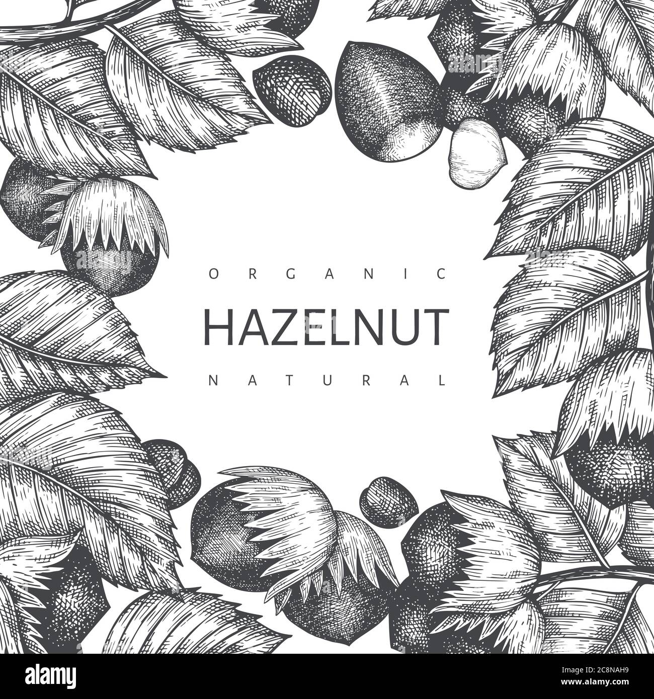 Hand drawn sketch hazelnut design template. Organic food vector ...