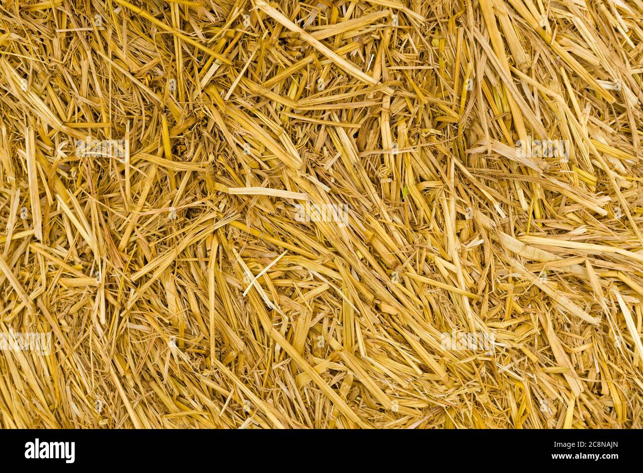 Rice straw hi-res stock photography and images - Alamy