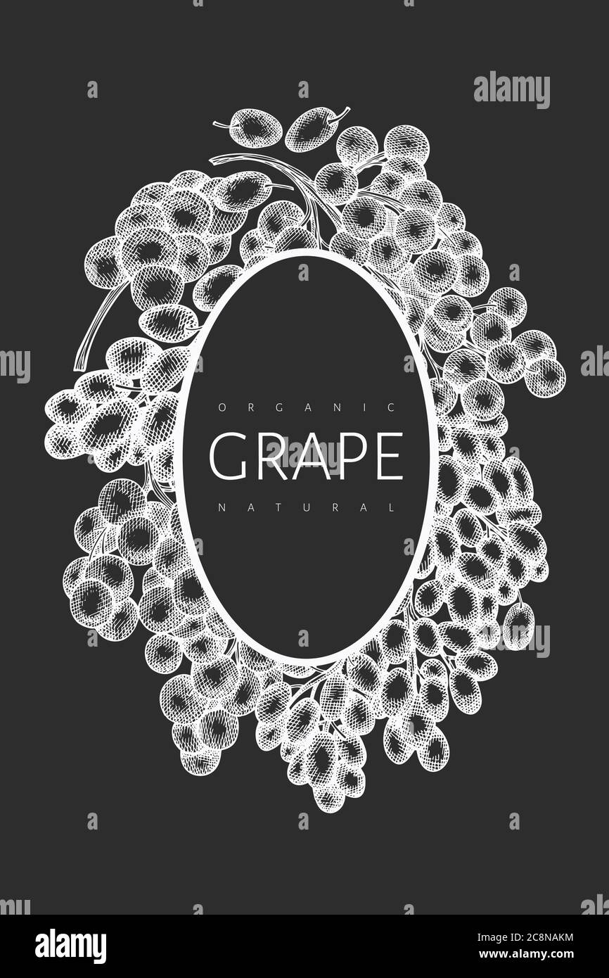 Grape design template. Hand drawn vector grape berry illustration on ...