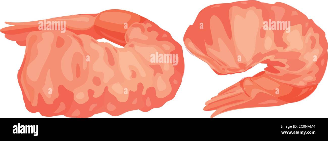 Burger shrimp icon. Cartoon of burger shrimp vector icon for web design ...