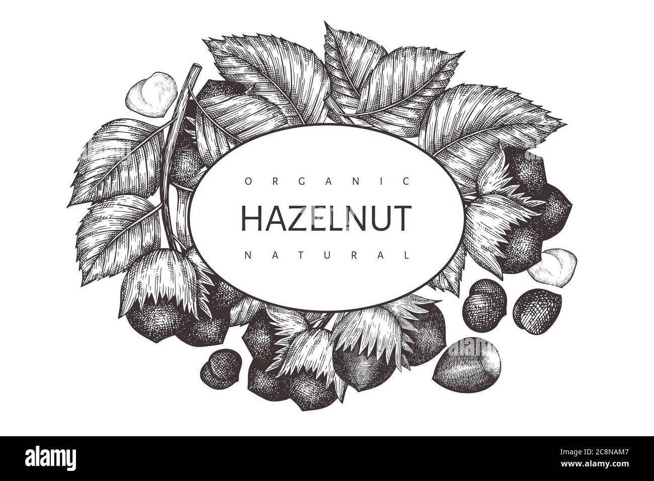 Hand drawn sketch hazelnut design template. Organic food vector ...