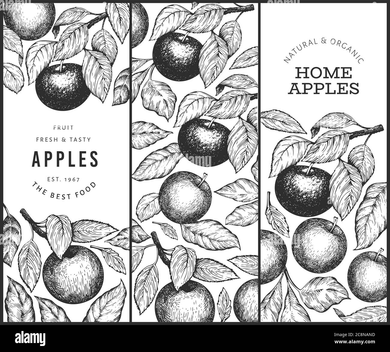 Apple branches design template. Hand drawn vector garden fruit ...