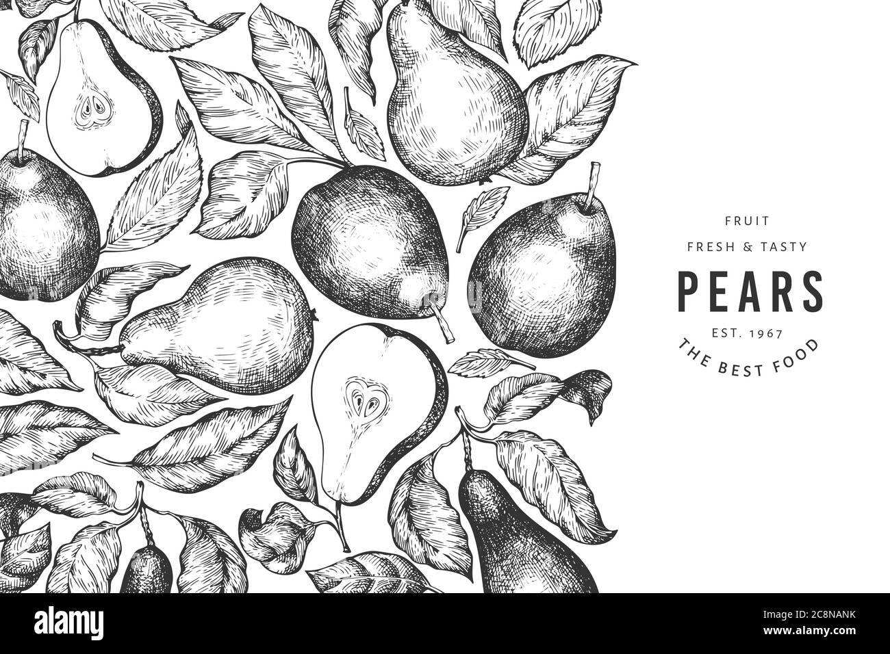 Pear design template. Hand drawn vector garden fruit illustration ...
