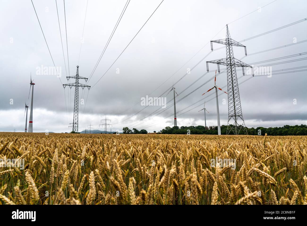 Power lines, high-voltage lines, wind power plants, grain field ...