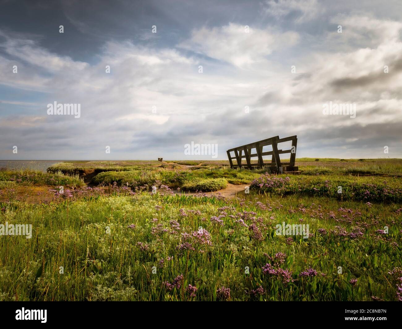 Wooden bridges at Stiffkey marshes amongst the sea lavender Stock Photo ...