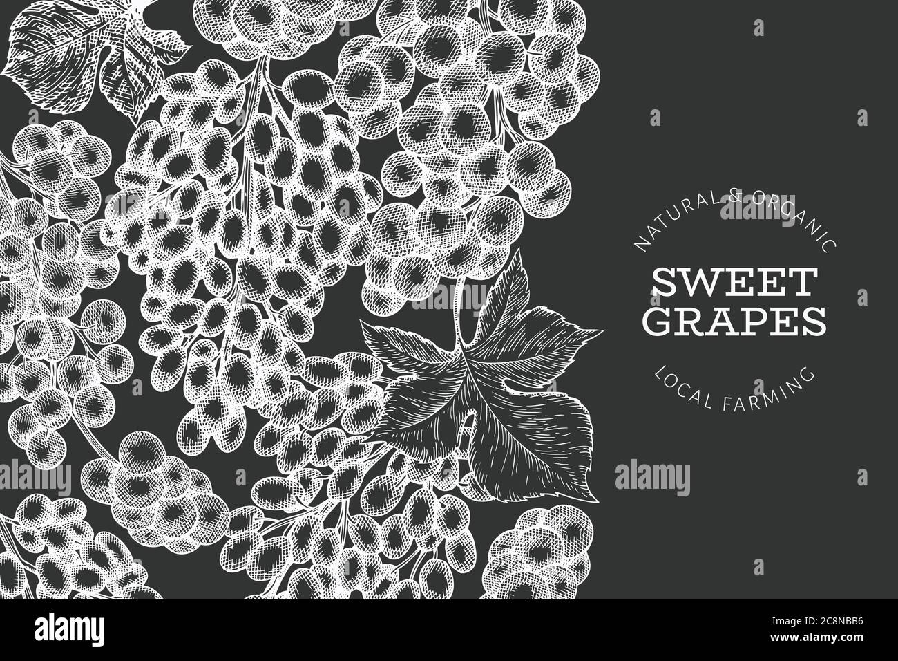 Grape design template. Hand drawn vector grape berry illustration on ...