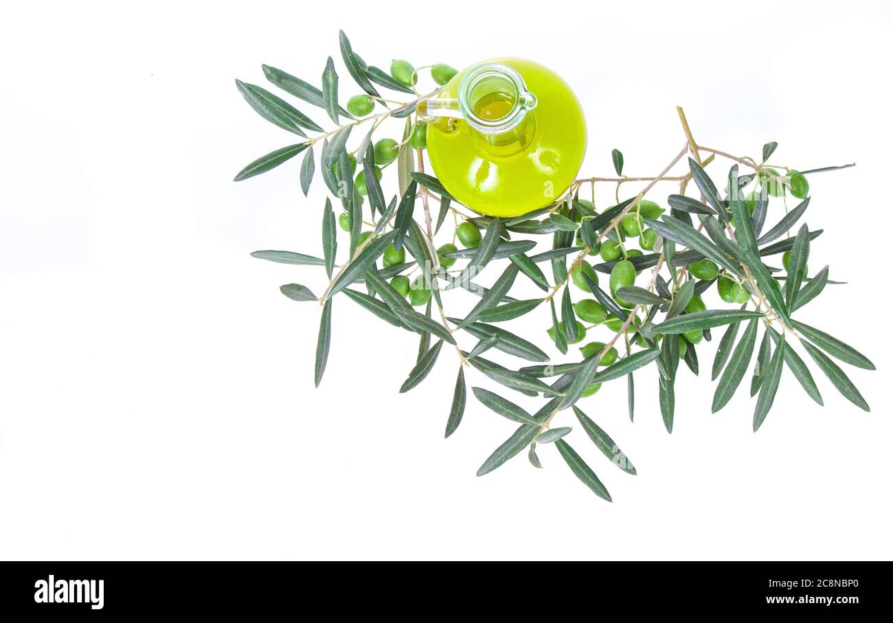 Glass bottle wtih extra virgin olive oil and olive branches. Olive tree ...