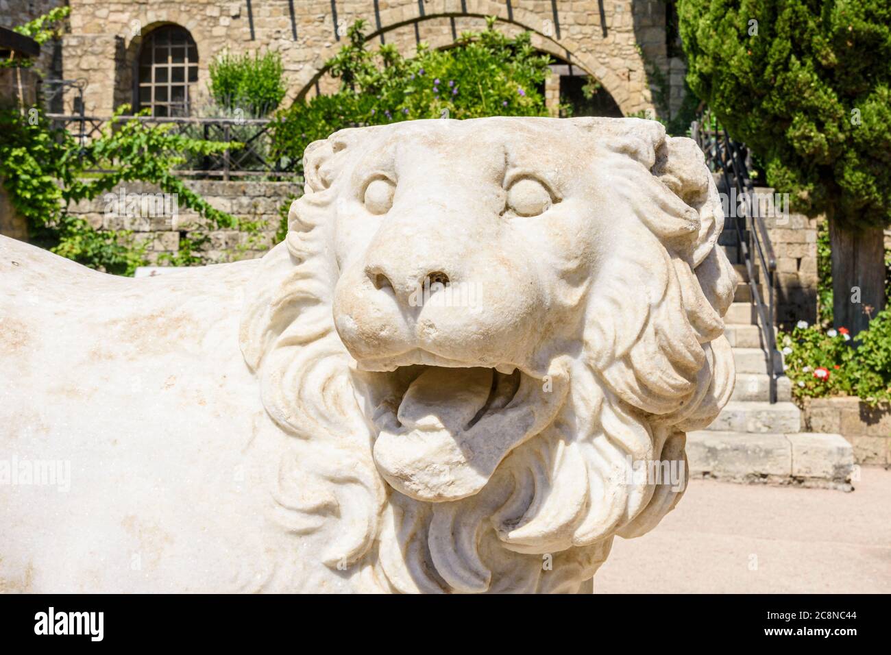 Detail of a lion sculpture at the Archaeological Museum of Rhodes ...