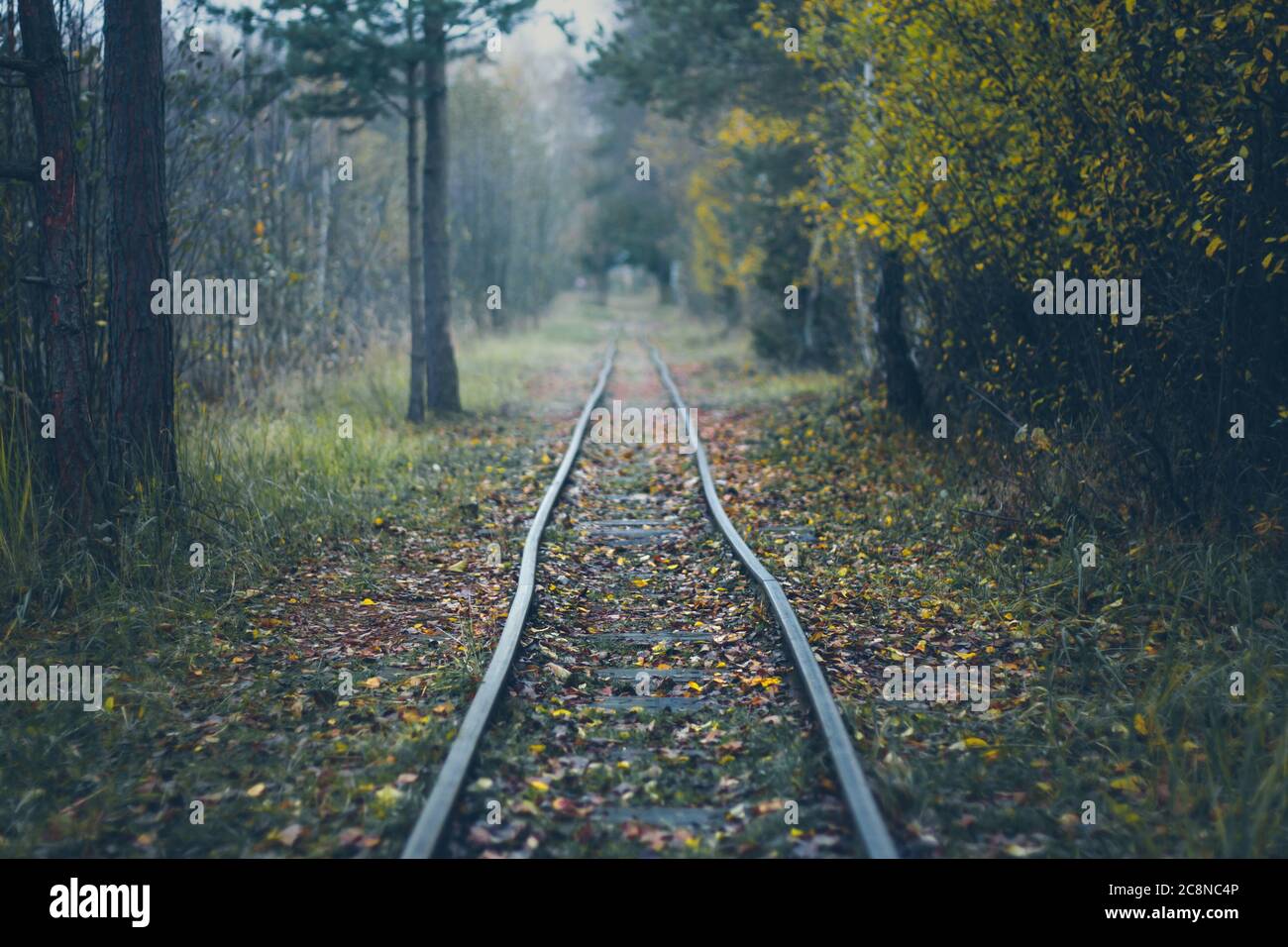 Narrow gauge railway hi-res stock photography and images - Alamy