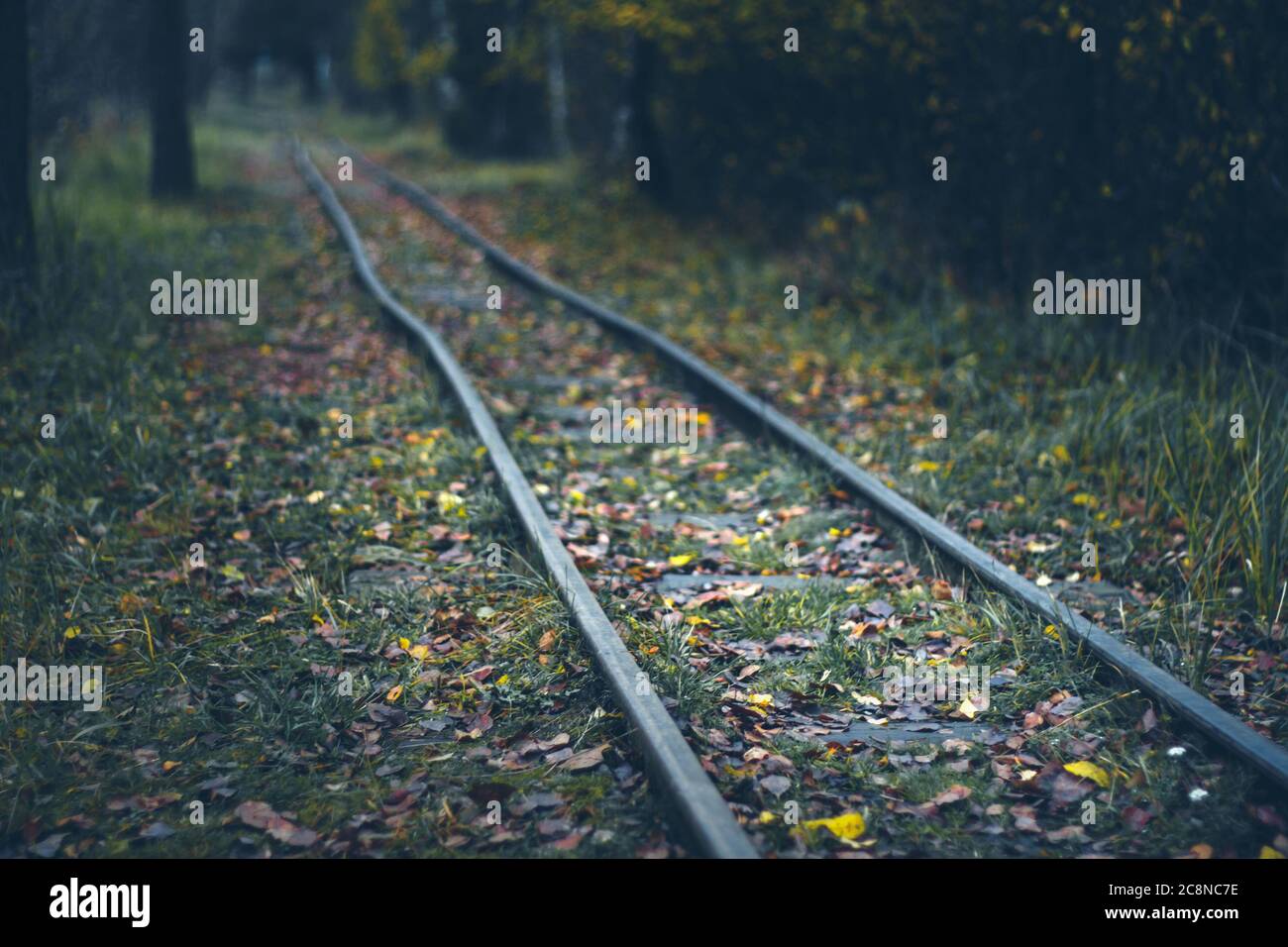 Narrow gauge railway hi-res stock photography and images - Alamy