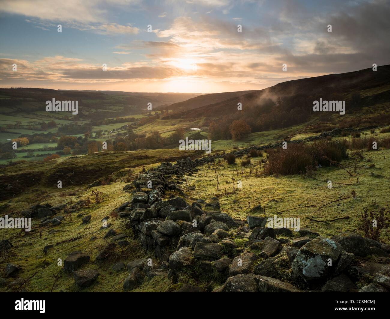 Rosedale High Resolution Stock Photography and Images - Alamy