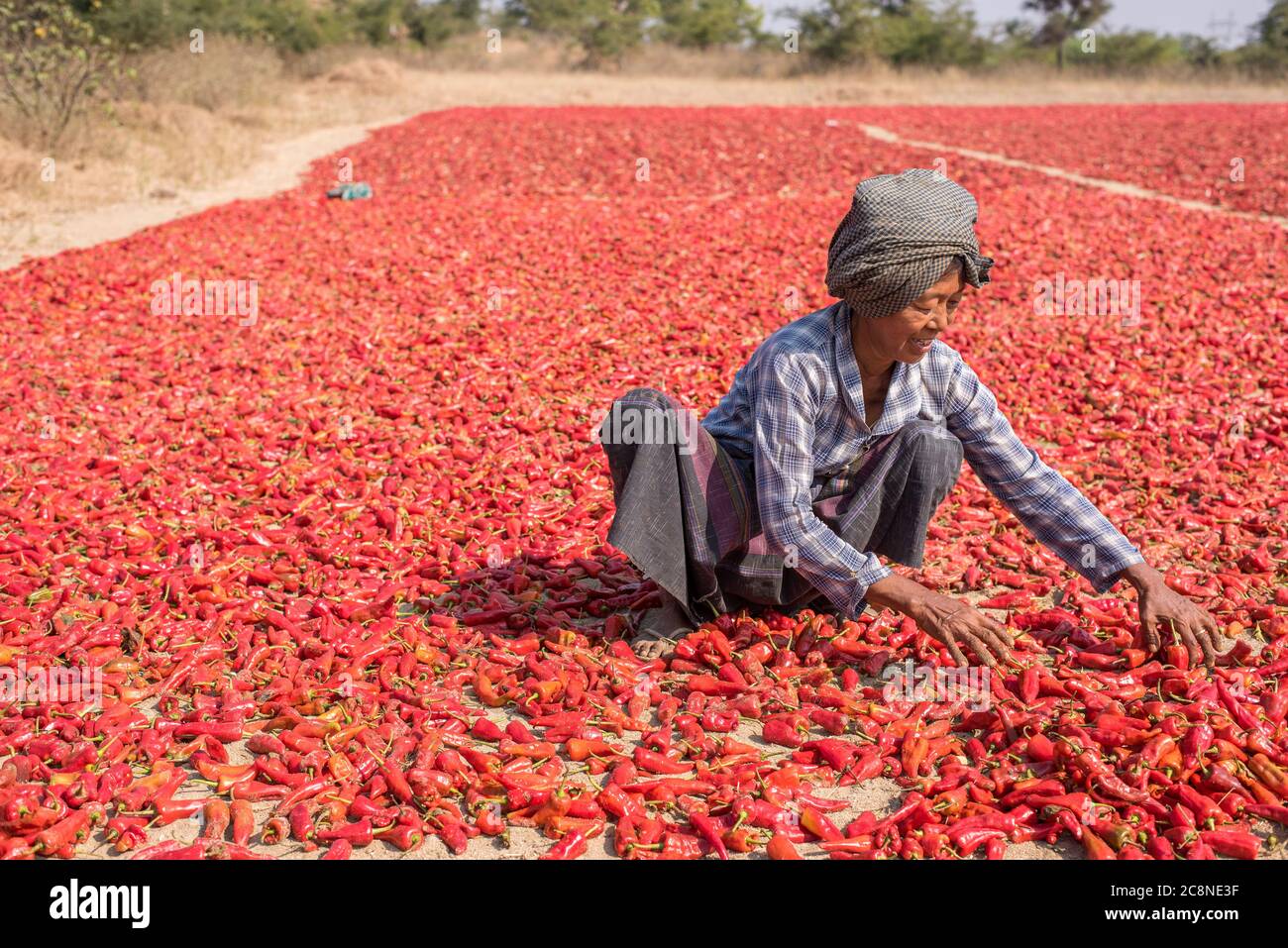 Burmese red pepper hi-res stock photography and images - Alamy