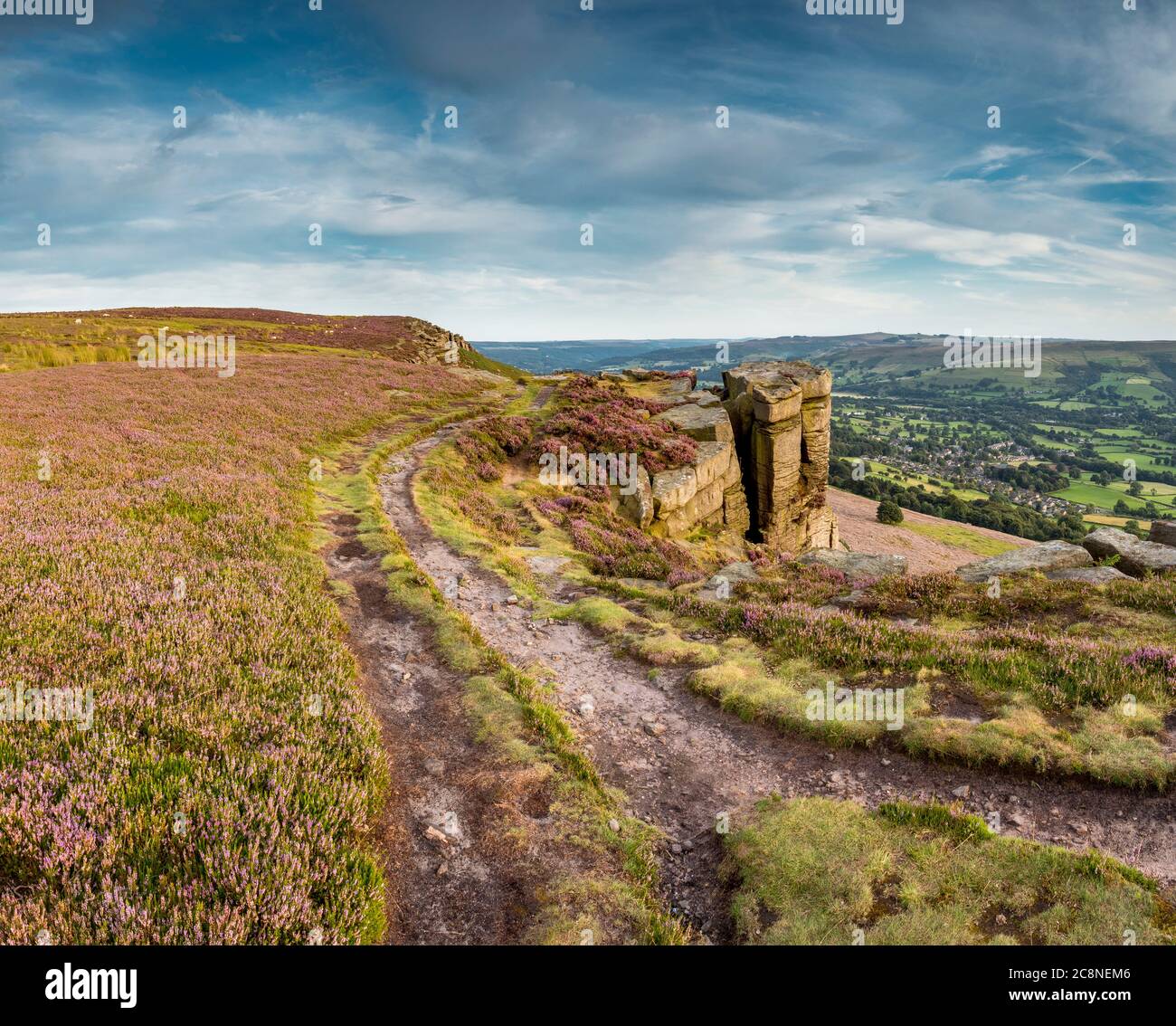 A path through the heather on Bamford Edge Stock Photo - Alamy