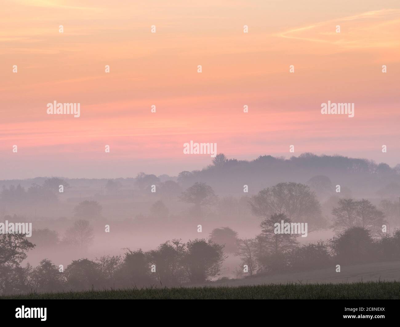 Mist Field Norfolk England High Resolution Stock Photography and Images ...