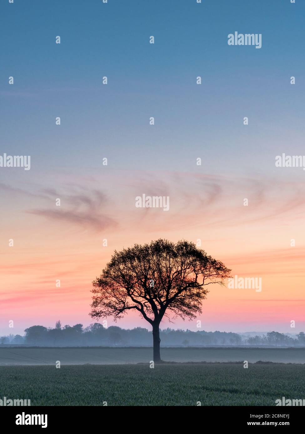 Mist Field Norfolk England High Resolution Stock Photography and Images ...