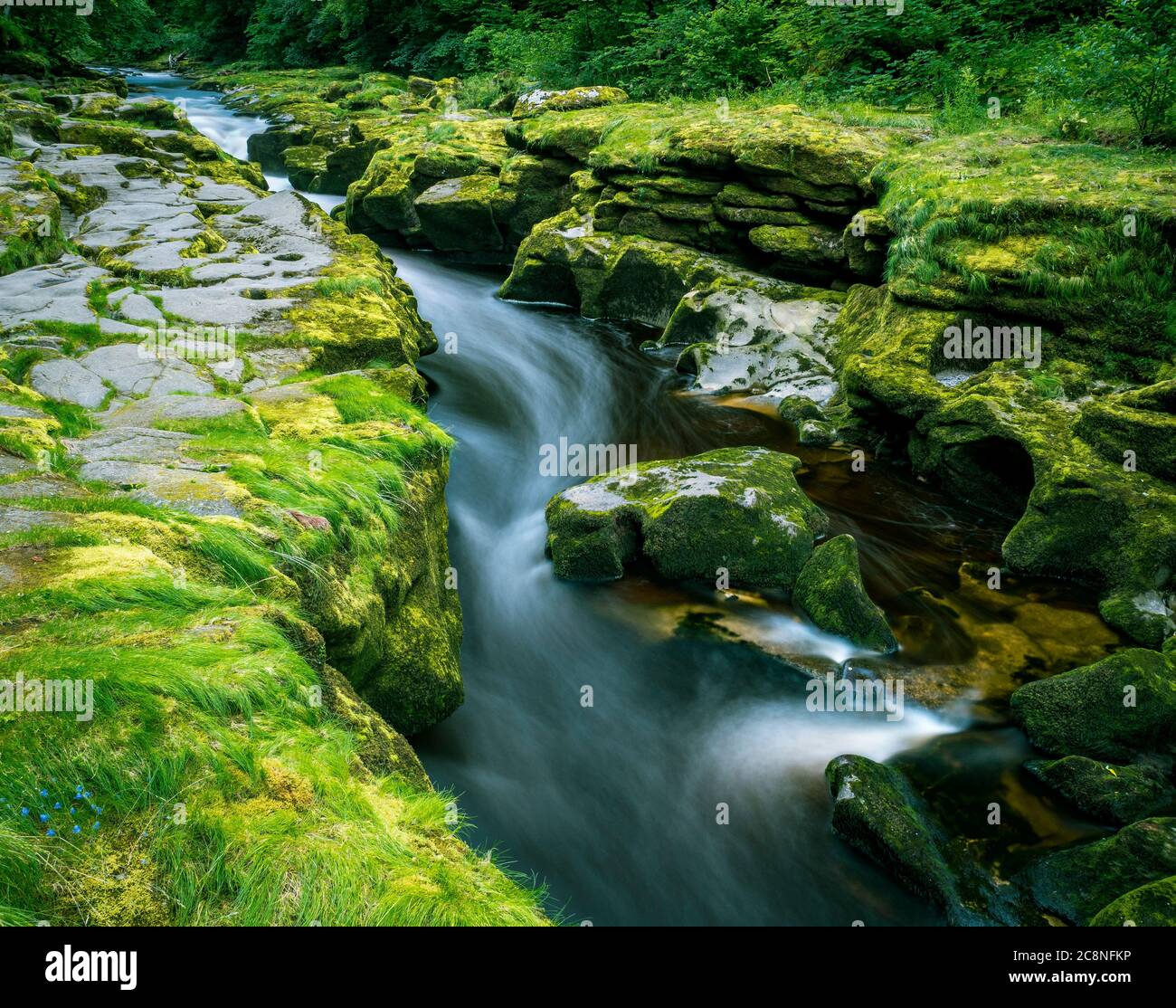 The river Wharf forced through a narrow rock channel known as The Strid ...
