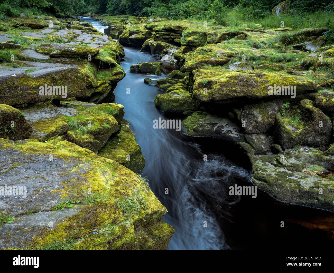 The river Wharf forced through a narrow rock channel known as The Strid ...