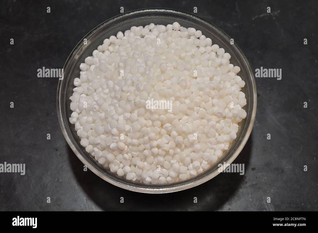 White sago pearls or sabudana Raw healthy sago balls isolated in wooden ...