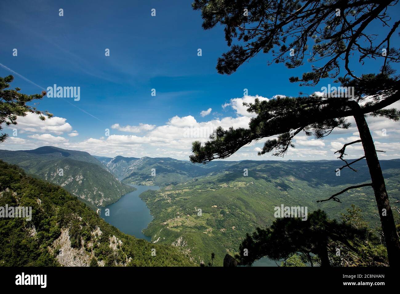 View at Perucac lake and river Drina from Tara mountain in Serbia Stock ...