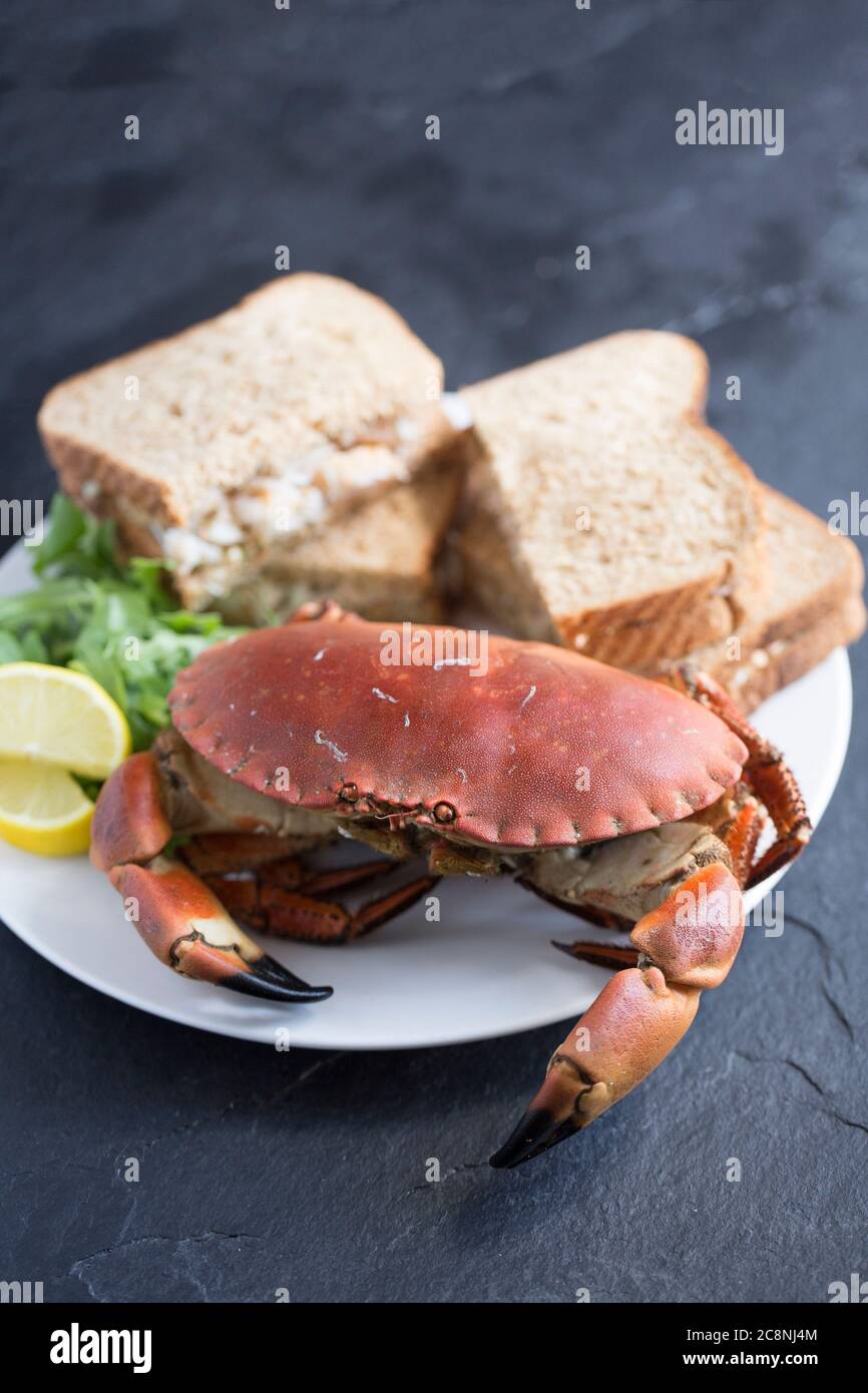 British crab sandwich hi-res stock photography and images - Alamy