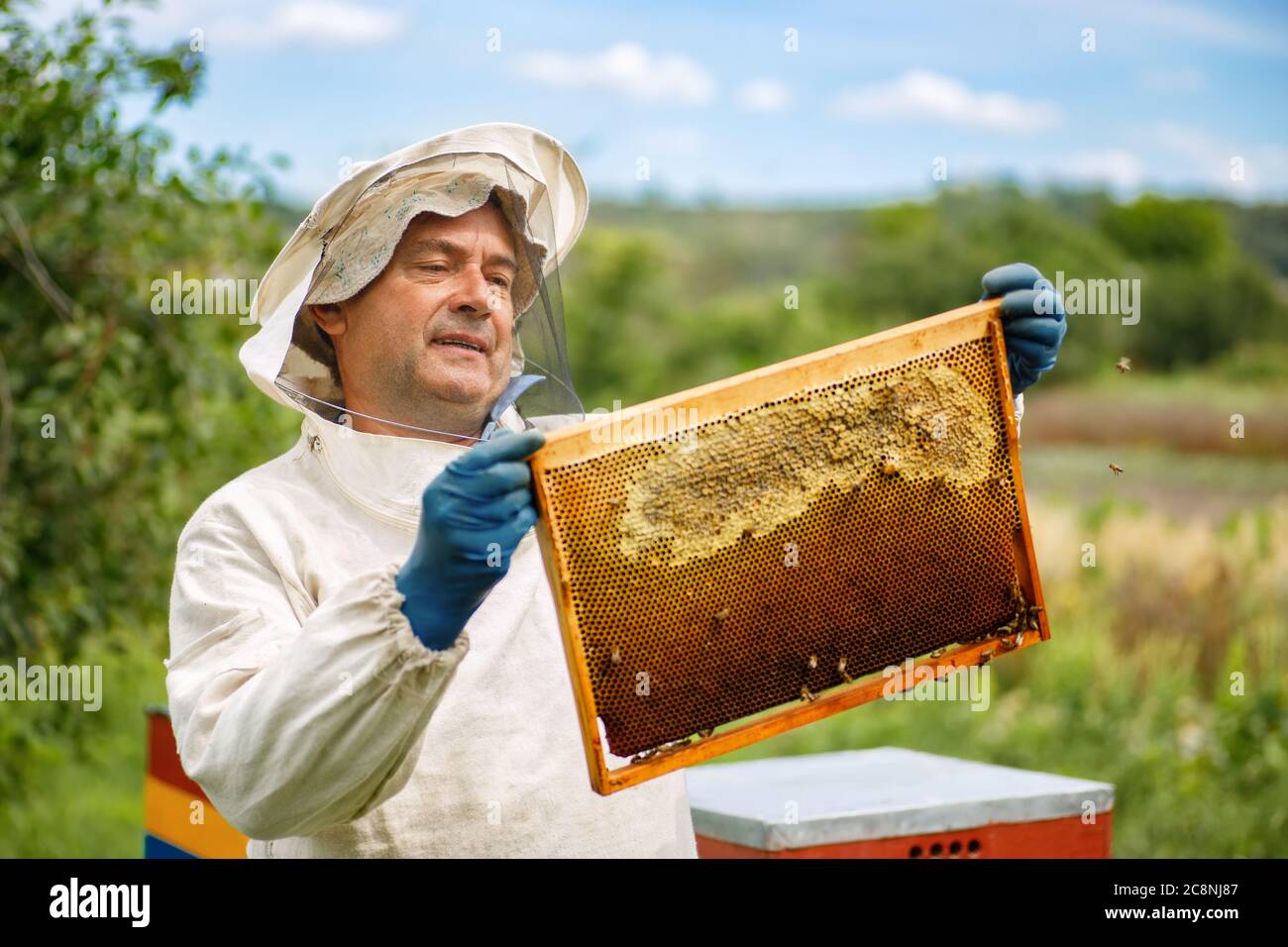 Beekeeper at apiary Stock Photo - Alamy