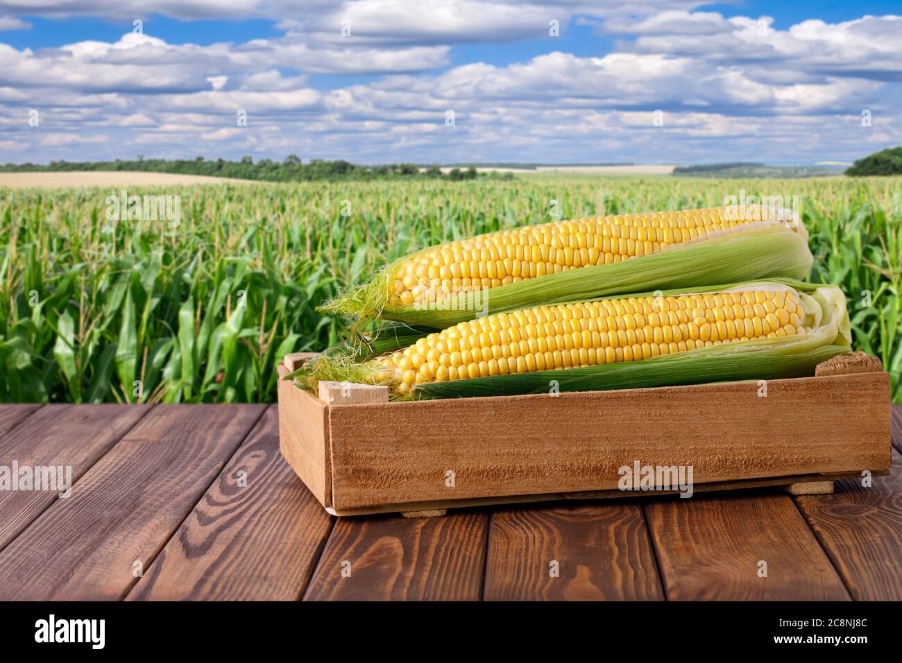 Seed box hi-res stock photography and images - Alamy