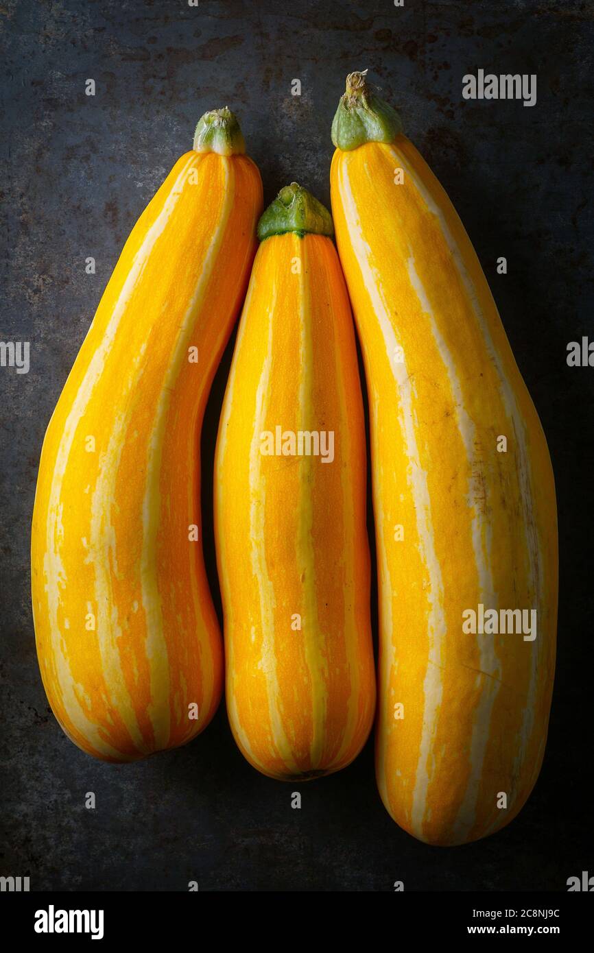 Yellow Crookneck Squash Stock Photo - Alamy