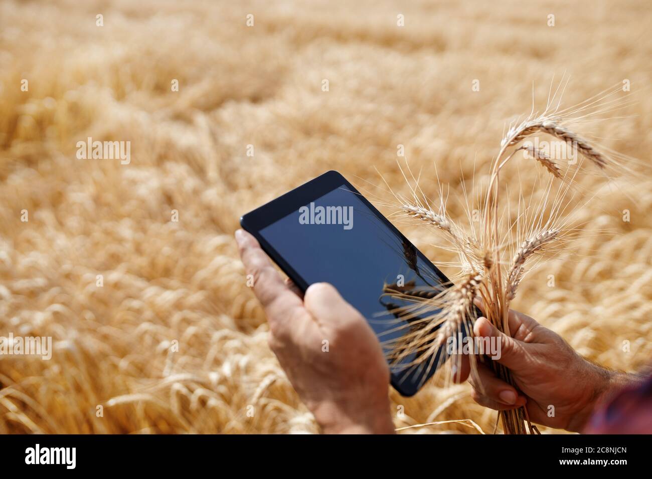 Farmer hands hi-res stock photography and images - Alamy