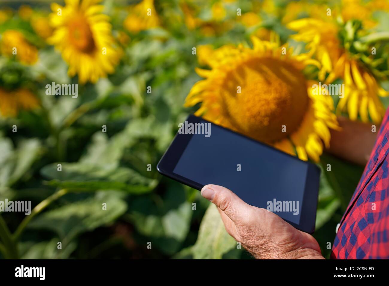 Farmer tablet hi-res stock photography and images - Alamy