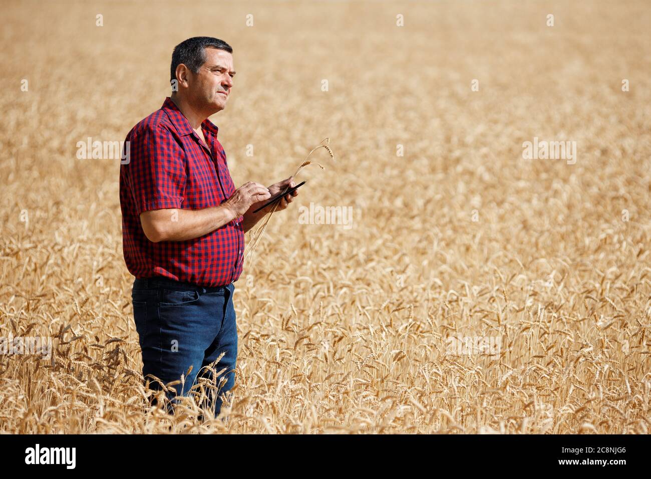 Agronomist agriculture hi-res stock photography and images - Alamy