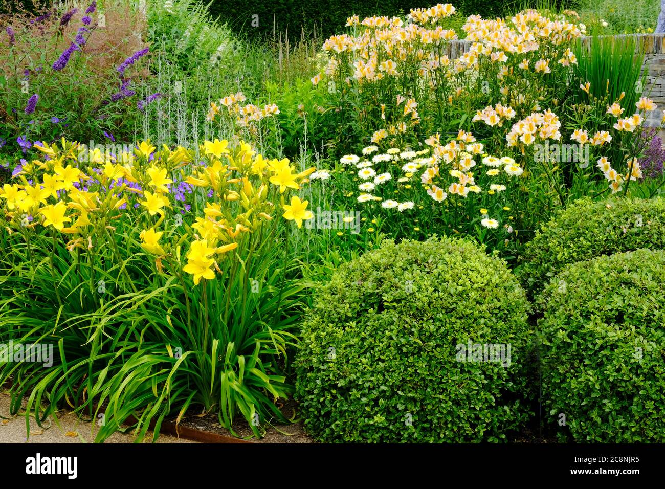 Summer flower border hi-res stock photography and images - Alamy