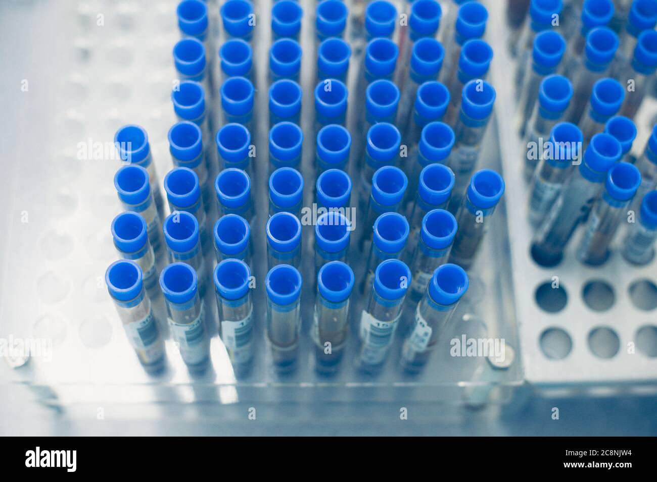 Biomaterial hi-res stock photography and images - Alamy