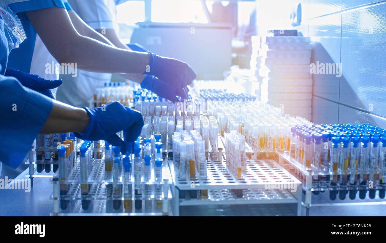 Hands in rubber gloves hold test tubes Stock Photo - Alamy