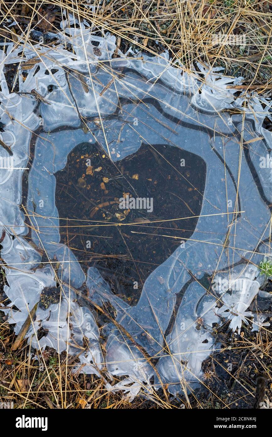 Heart puddle hi-res stock photography and images - Alamy