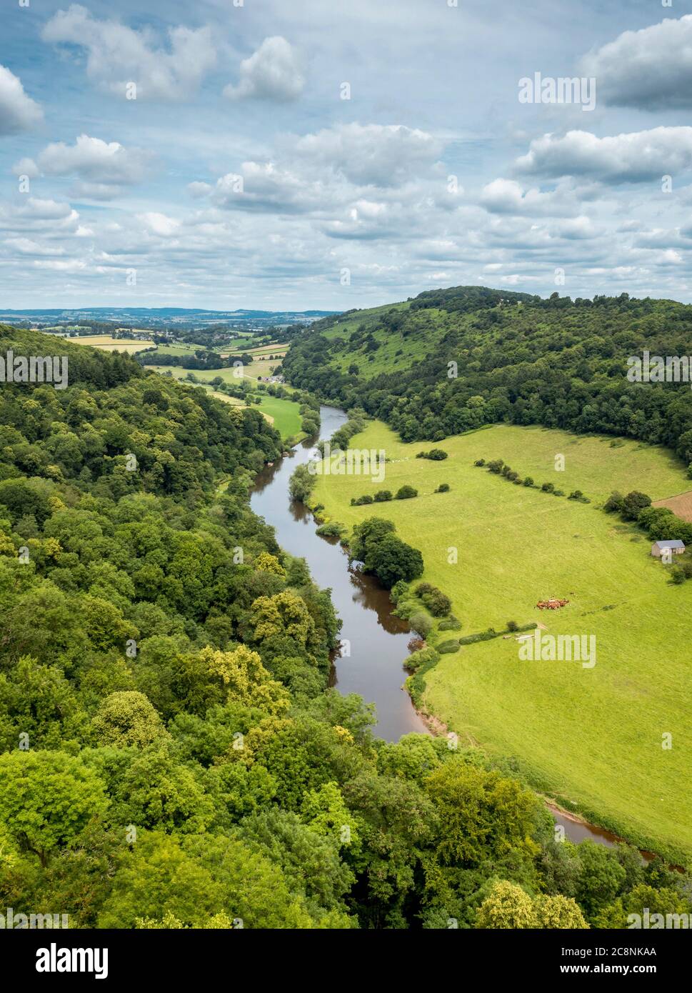 A view of the Wye valley from Yat Rock Stock Photo - Alamy