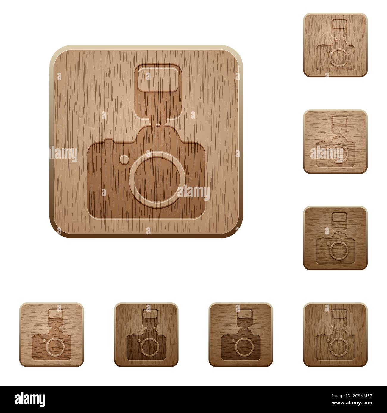 Set of carved wooden camera buttons in 8 variations Stock Vector Image ...