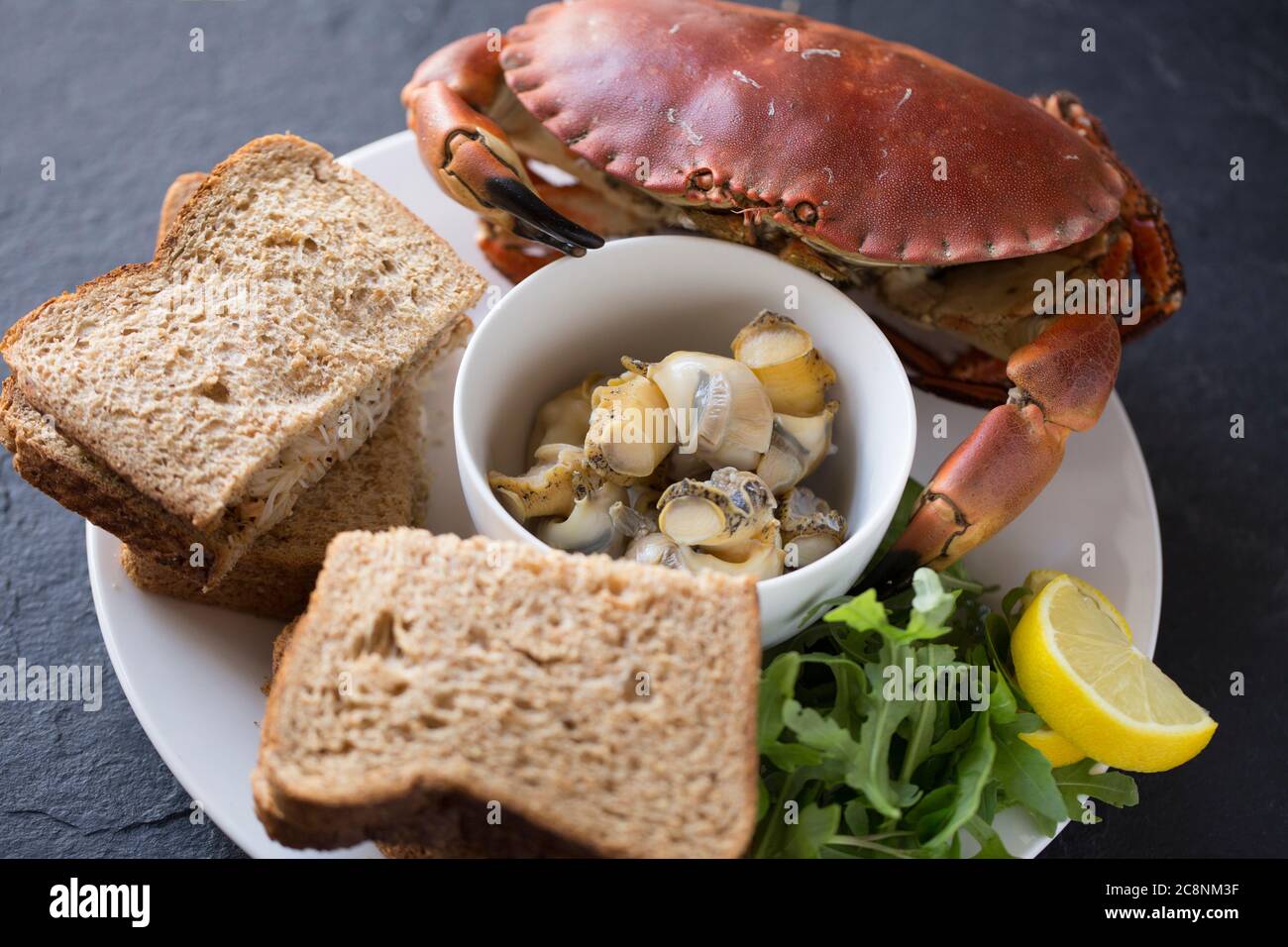Crab sandwiches made from a brown crab, Cancer pagurus, served with a ...
