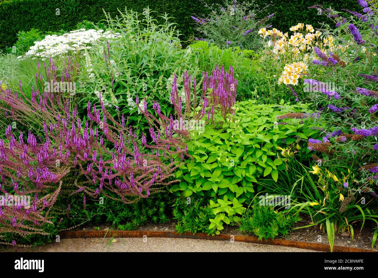 Lush English summer flower border - John Gollop Stock Photo - Alamy
