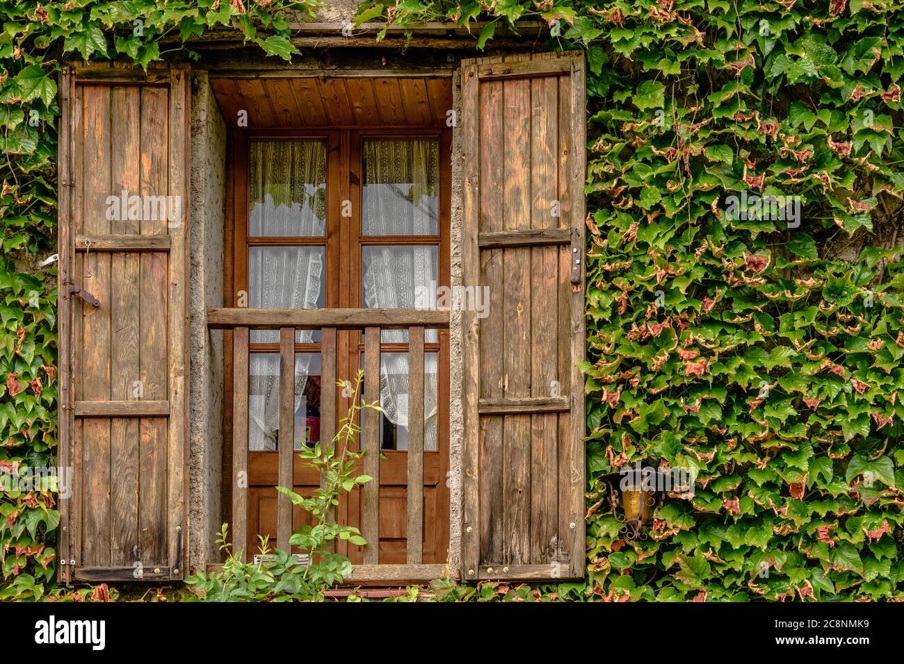 Wooden window and a wall covered with ivy Stock Photo - Alamy