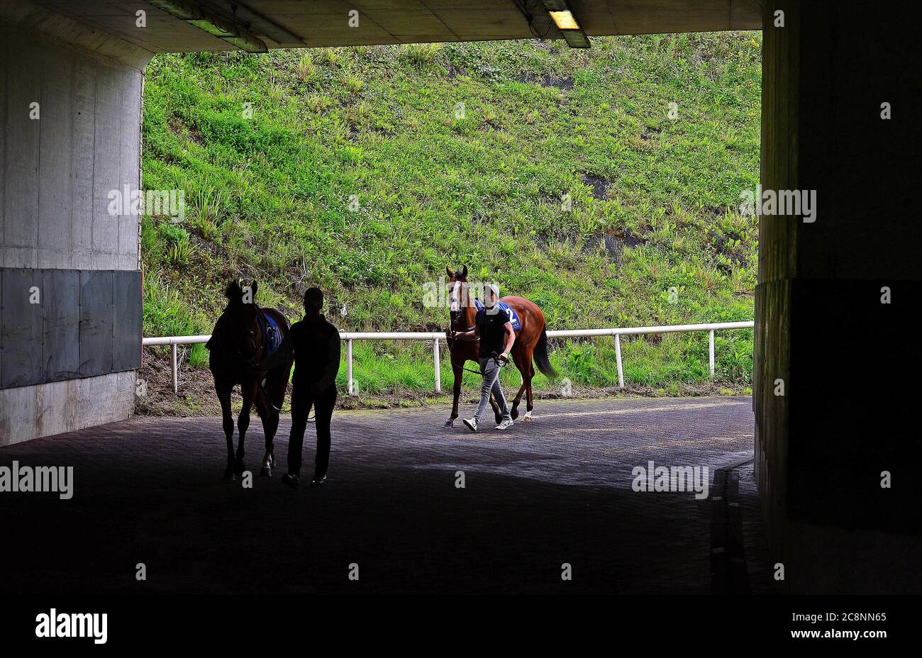 Trainer ger lyons hi-res stock photography and images - Alamy
