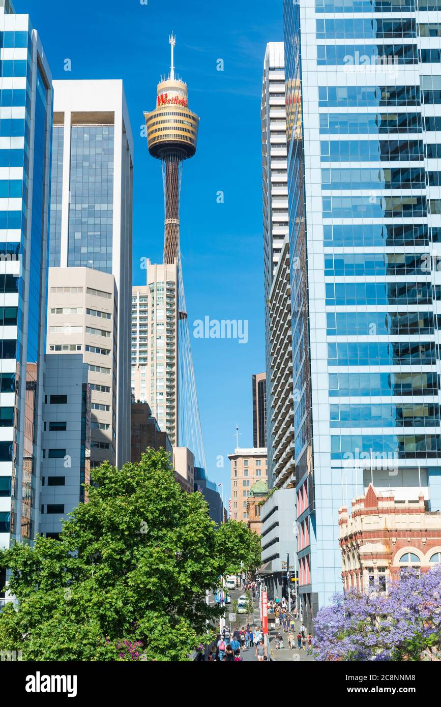 SYDNEY - OCTOBER 2015: Beautiful city skyline in Downtown. Sydney ...