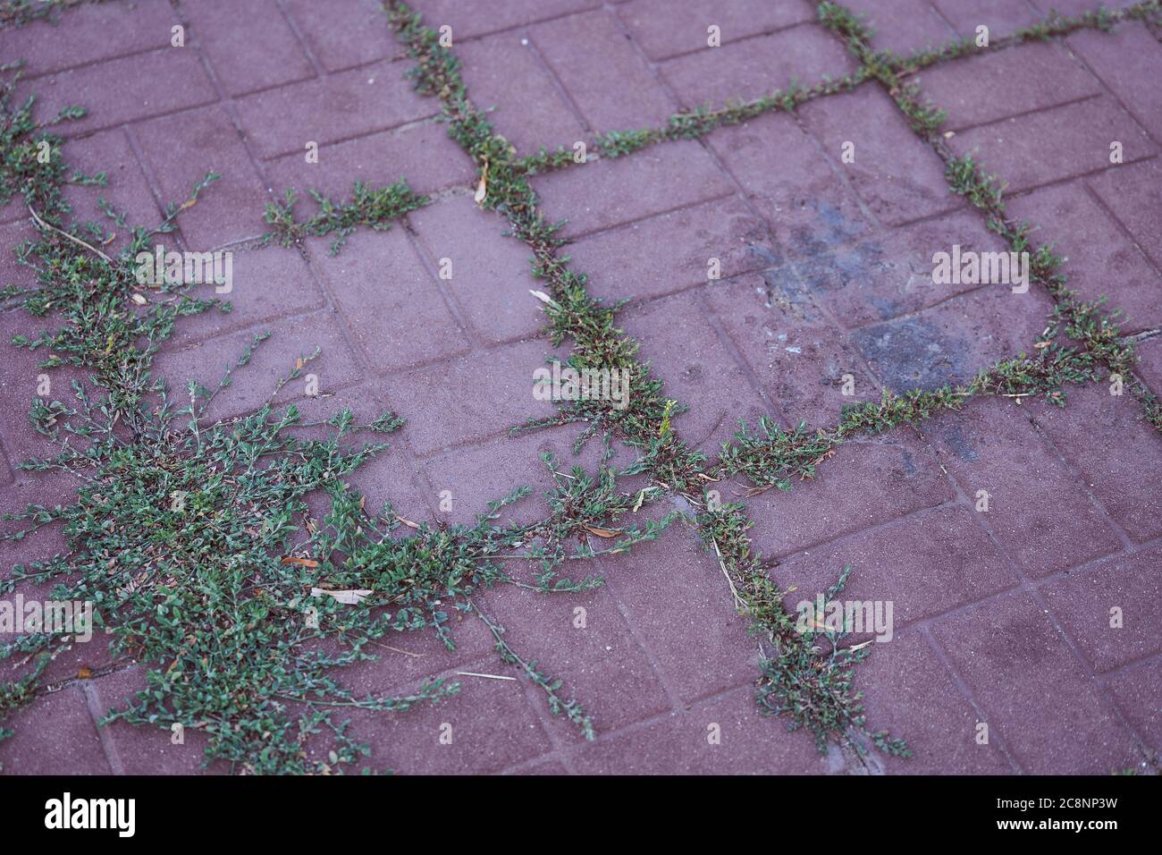 Protruding tiles hi-res stock photography and images - Alamy