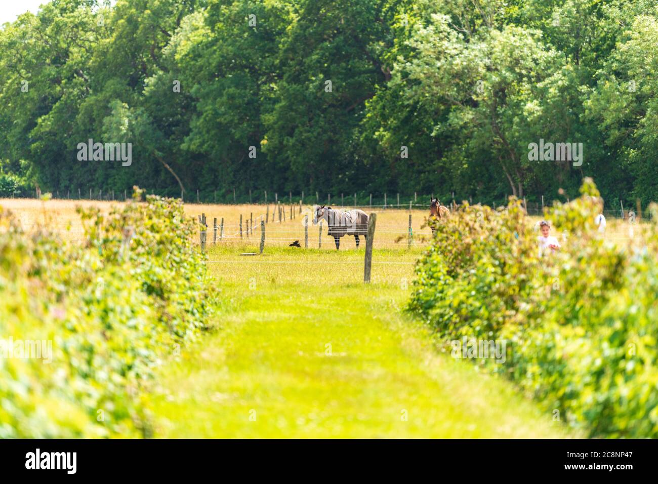 English countryside view of Sevenoaks, Kent, UK Stock Photo - Alamy