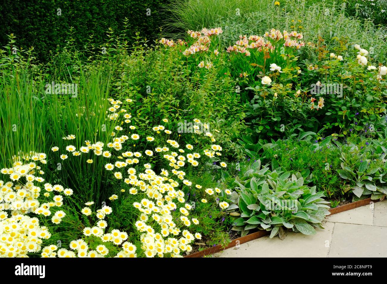 Lush English summer flower border - John Gollop Stock Photo - Alamy