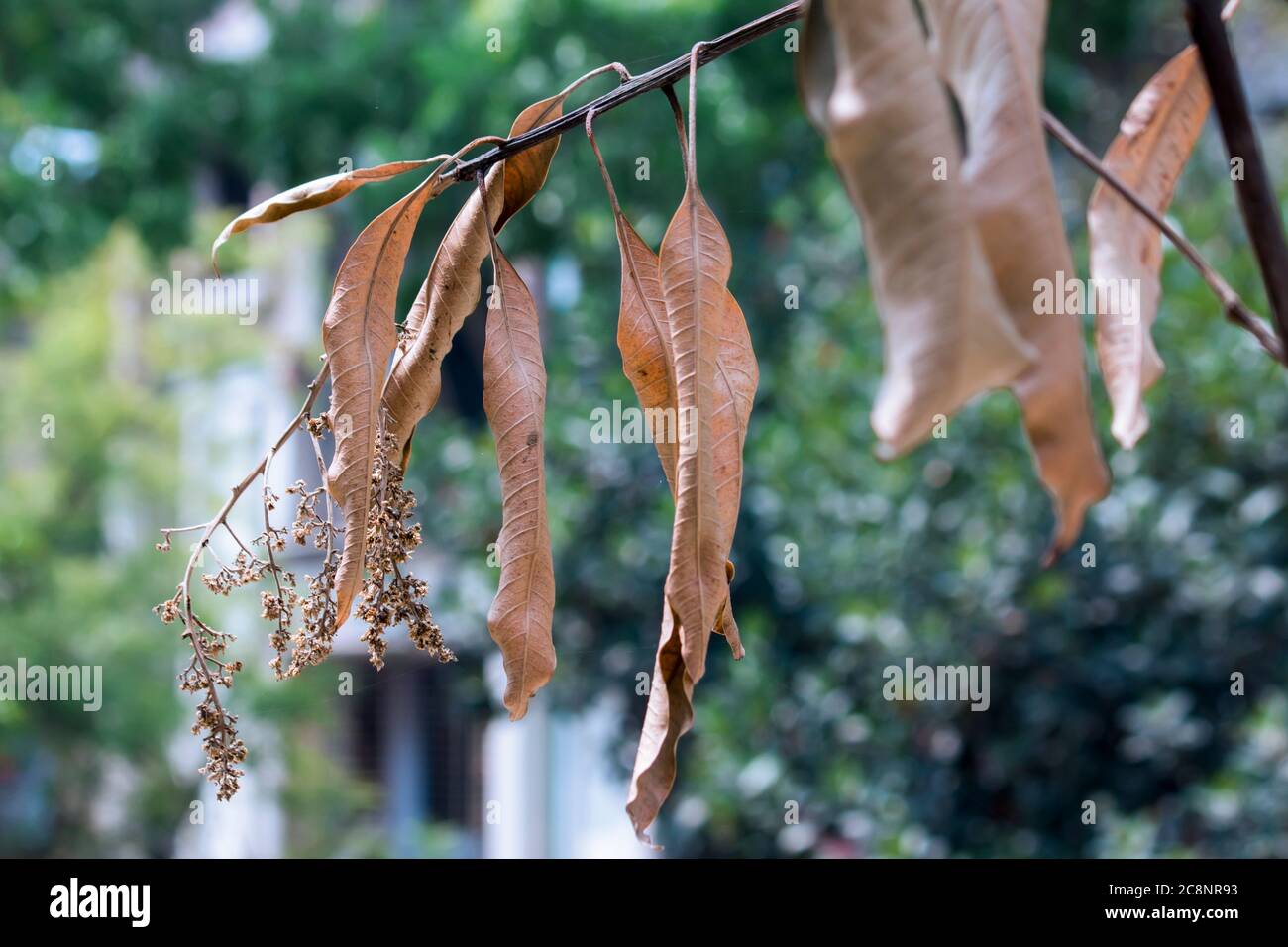 The human environment hi-res stock photography and images - Alamy